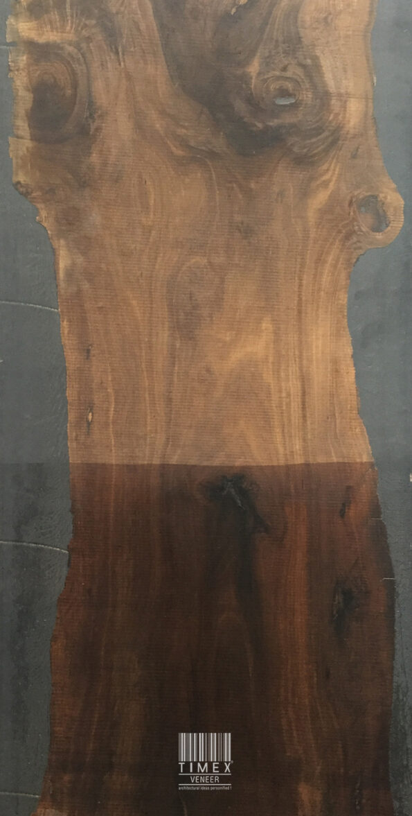 R.TEX ONEX (LIVE TREE) - Timex Veneer